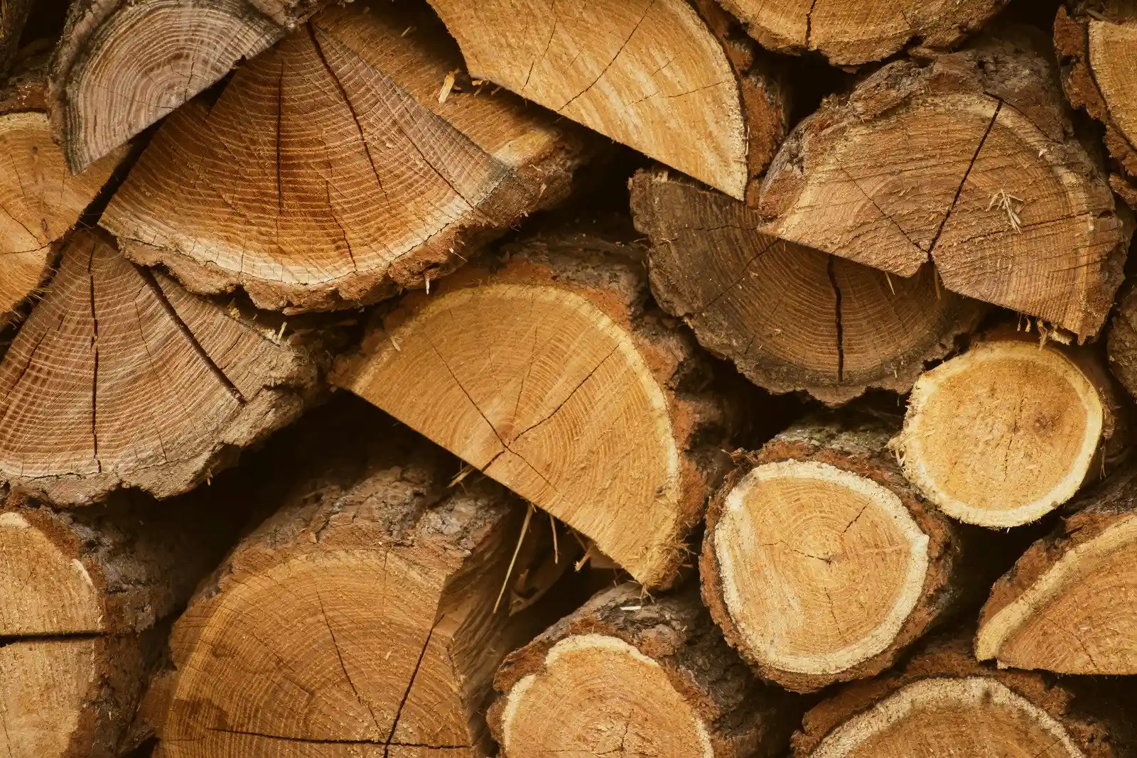Sawmill | Kentucky Sawmill & Hardwood Lumber Supplier
